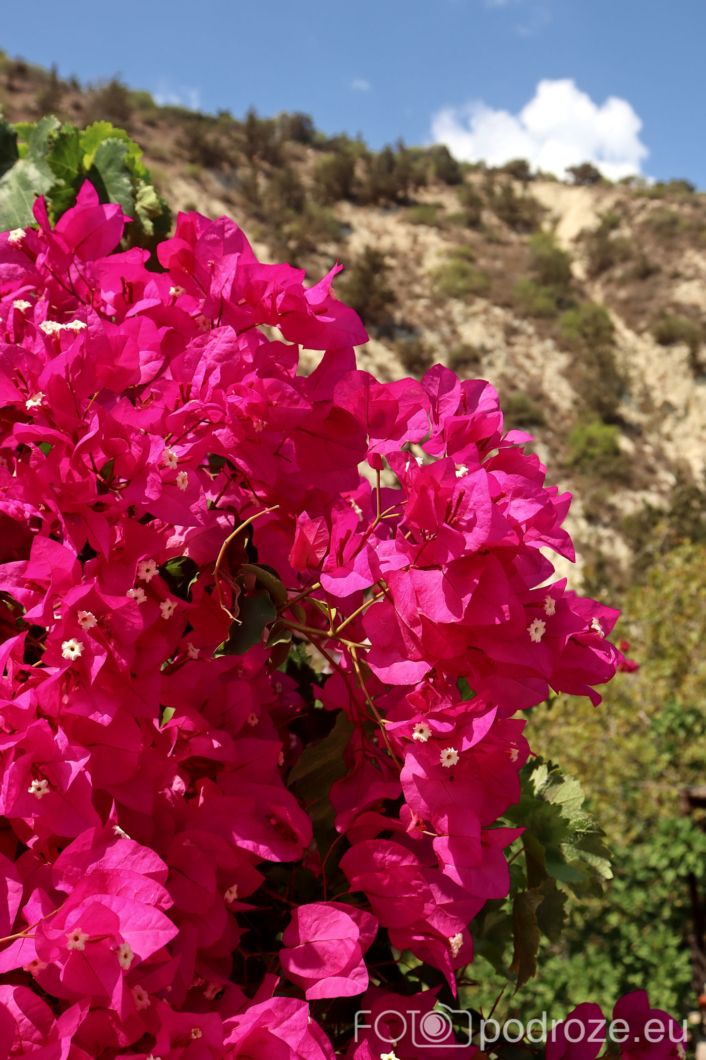 CYPR » WANNY ADONISA » FOTO podróże BPE