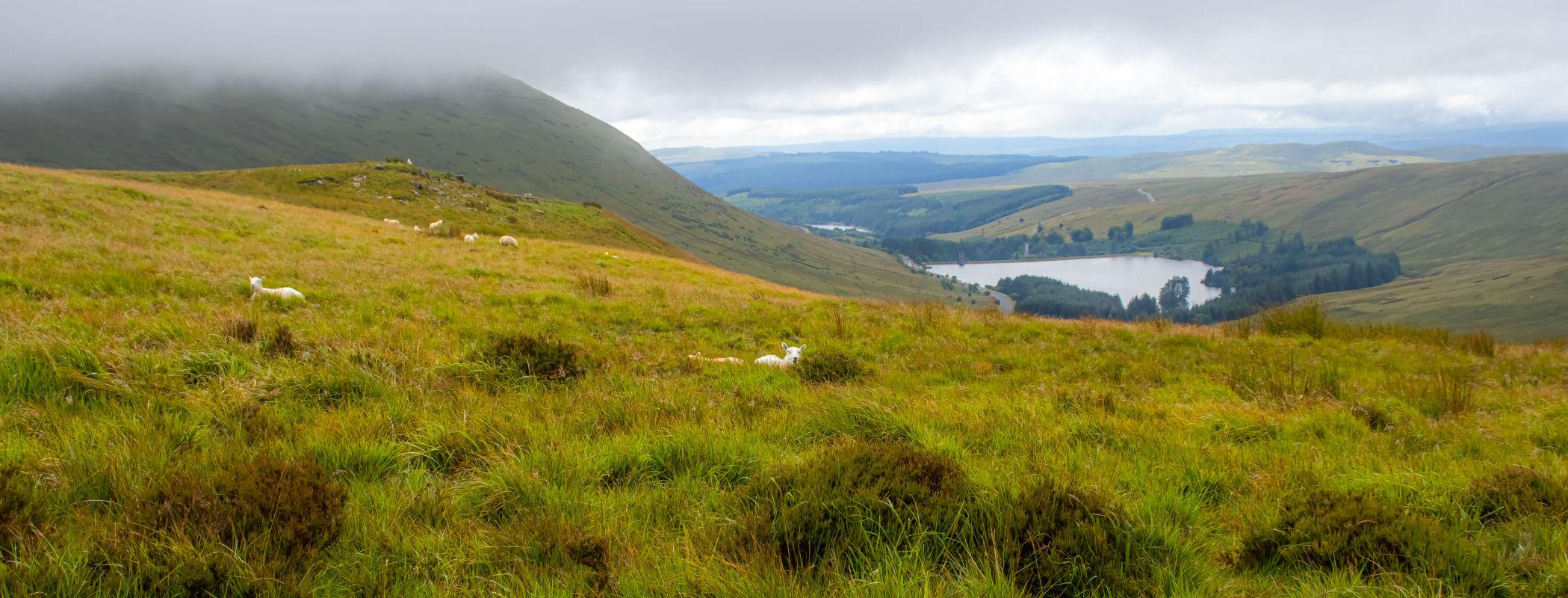 WIELKA BRYTANIA » WALIA » BRECON BEACONS » FOTO podróże BPE
